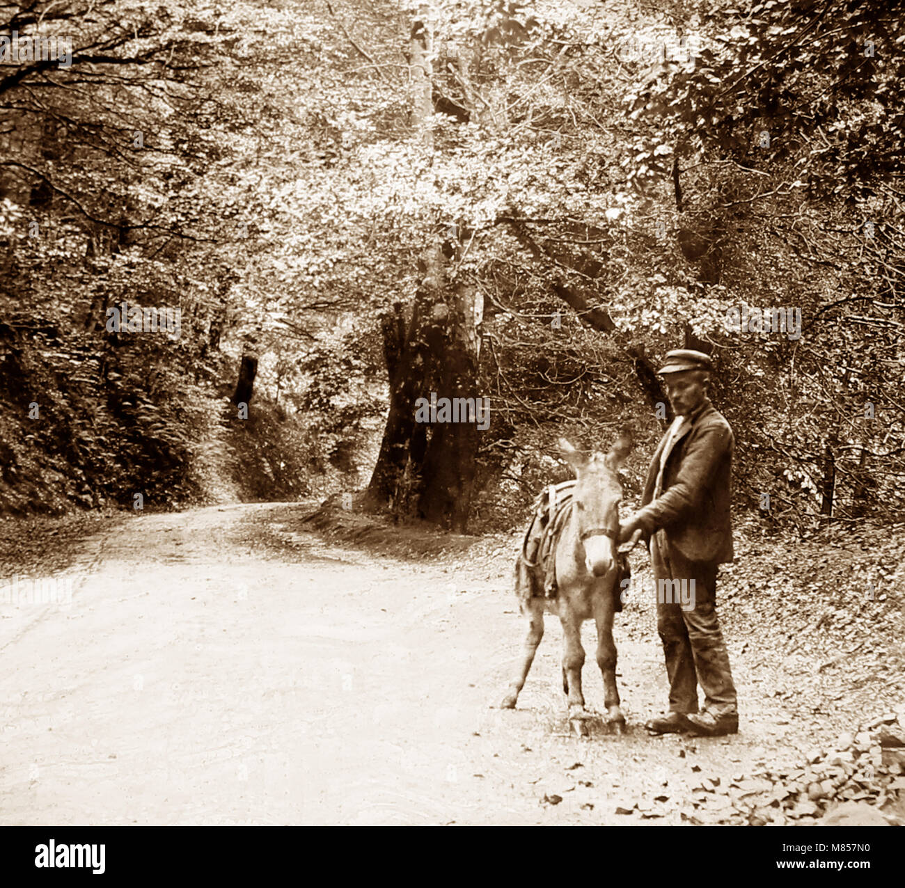 Hobby Drive, Clovelly, Victorian period Stock Photo - Alamy