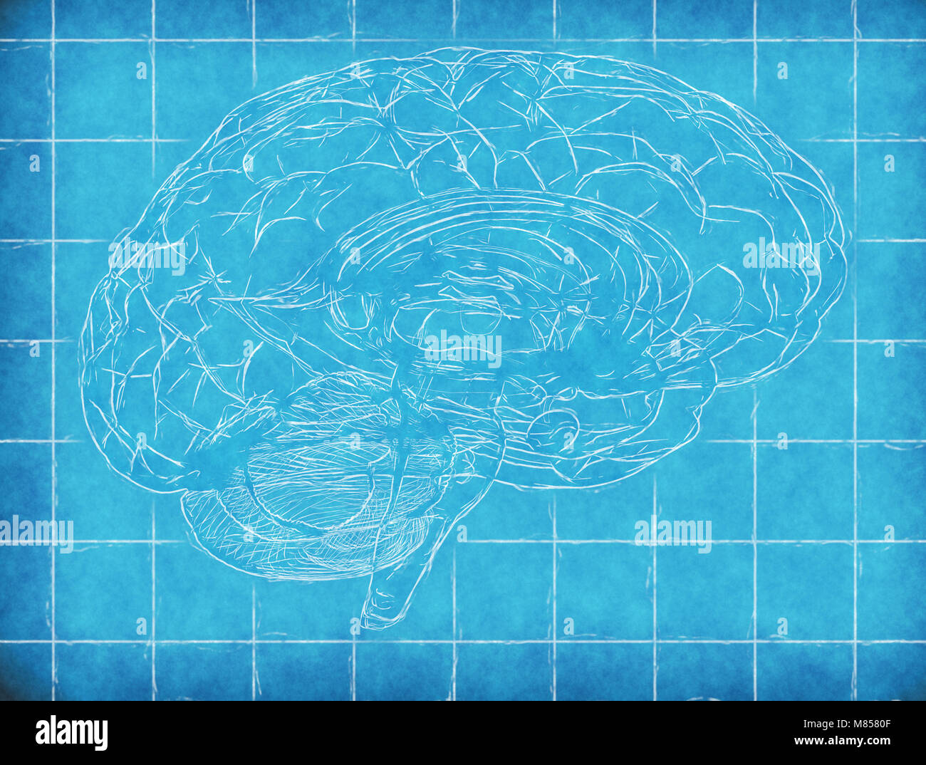 Human brain - side view blue 3d render iblueprint Stock Photo - Alamy
