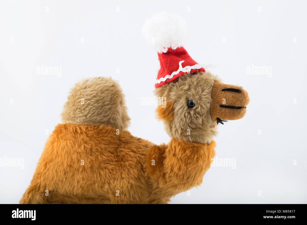 Plush camel in Santa Claus hat on a white background. Closeup Stock ...