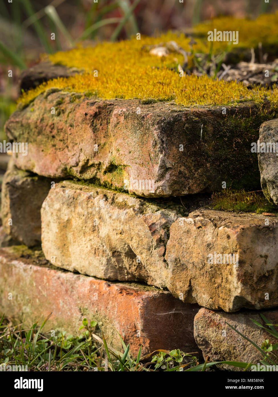 Moss covered bricks hi-res stock photography and images - Alamy