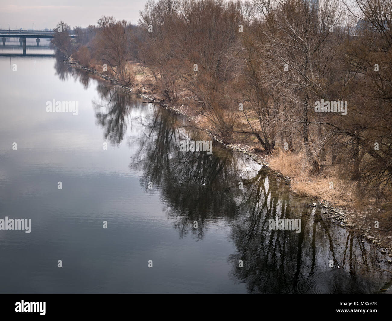 River danube (Neue Donau, Vienna Austria) with trees reflecting in the ...
