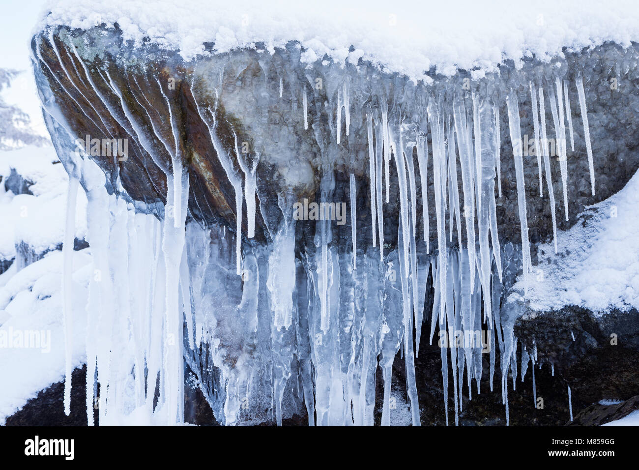Row of big frosty icicles in nature Stock Photo - Alamy