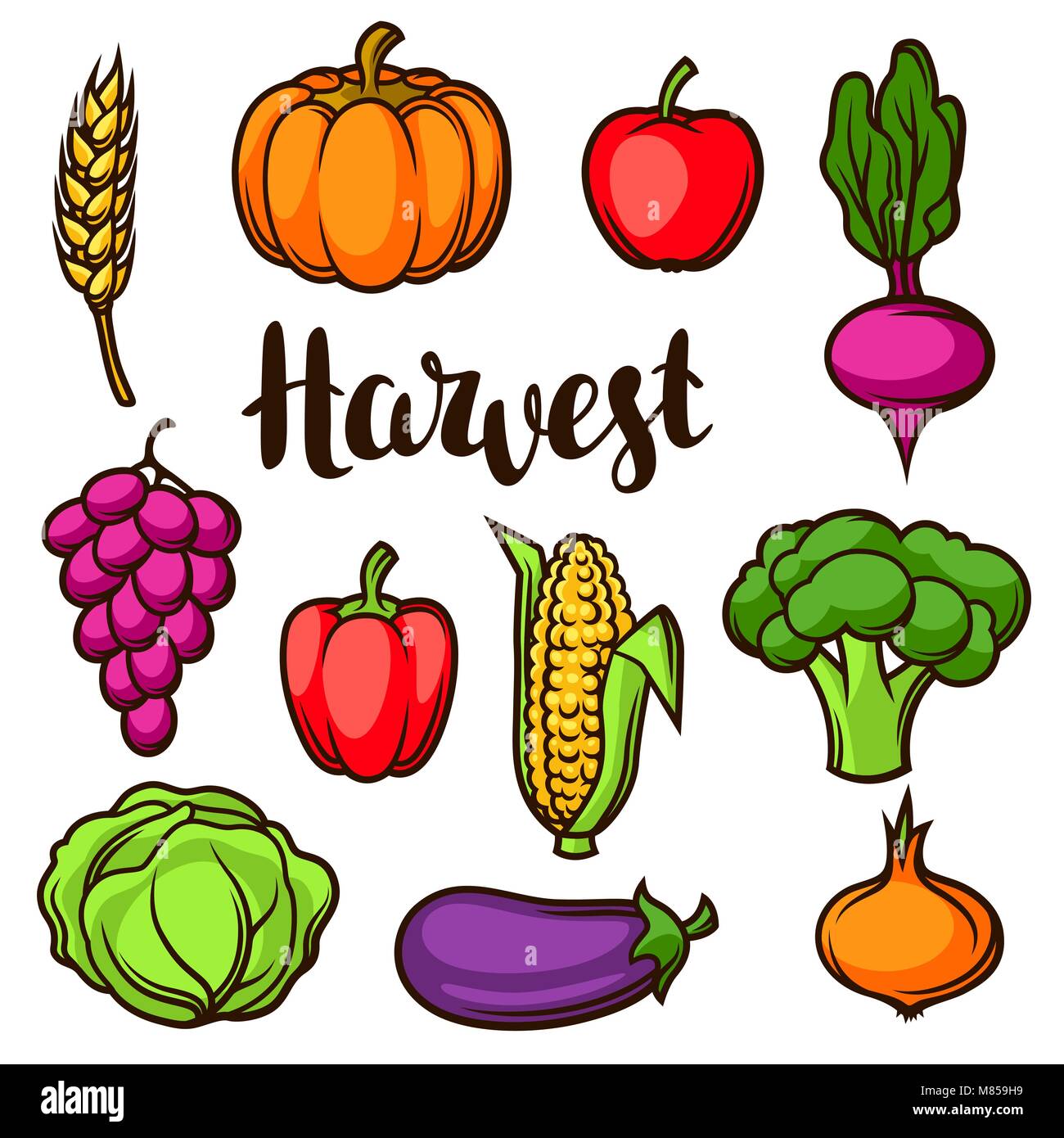 Harvest set of fruits and vegetables. Autumn seasonal illustration ...