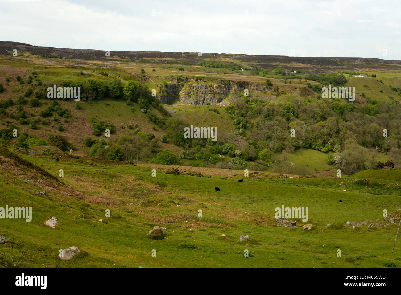 Tyla Quarry and Hill's Tramroad from Pwll du Quarry Stock Photo - Alamy