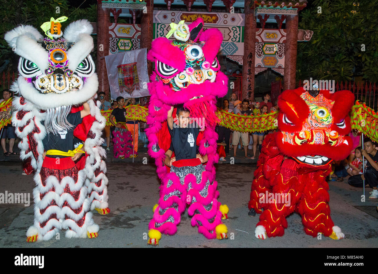 Participants in a Lion dance during the Mid autumn festiaval in Hoi An ...