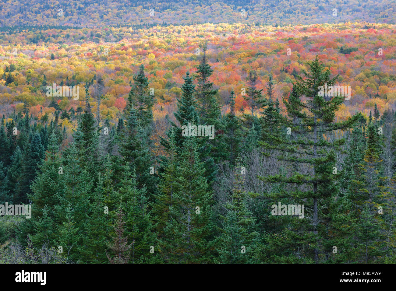Autumn colors along Route 302 in Carroll, New Hampshire, part of the ...