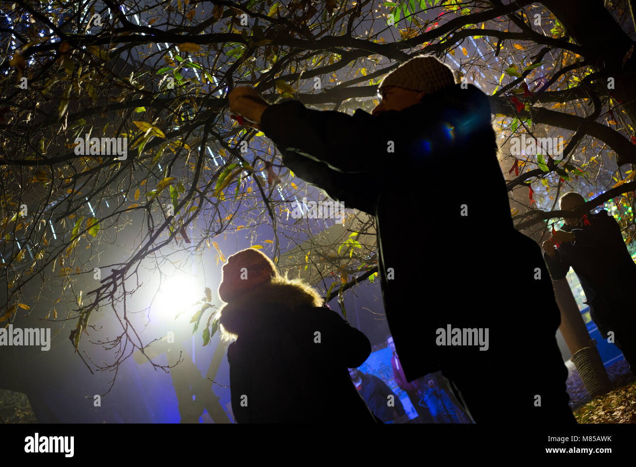 Cardiff christmas tree hi-res stock photography and images - Alamy