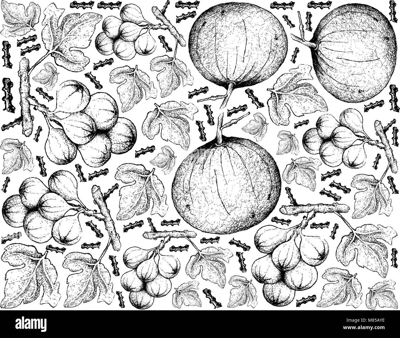 Tropical Fruits, Illustration Wallpaper Background of Hand Drawn Sketch ...