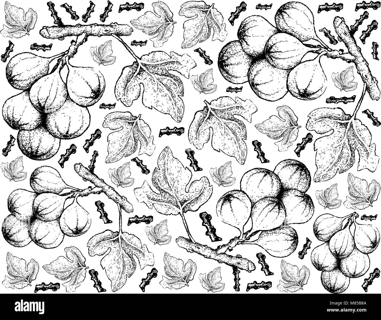 Fresh Fruit, Illustration of Hand Drawn Sketch Delicious Fresh Cluster ...