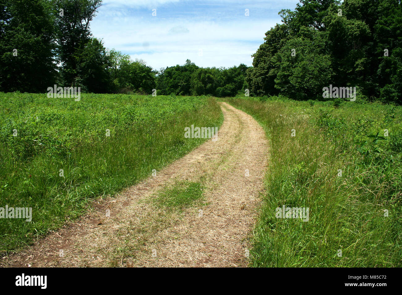 A path through a grassy field Stock Photo - Alamy