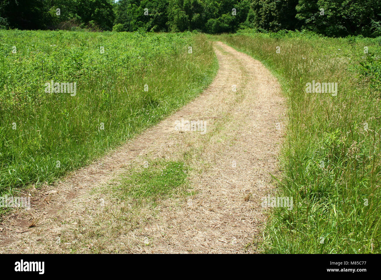 A path through a grassy field Stock Photo - Alamy