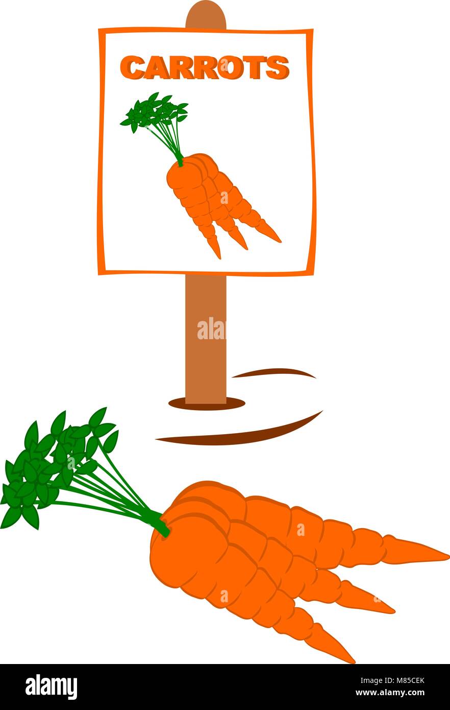 Vegetables pulled Stock Vector Images - Alamy