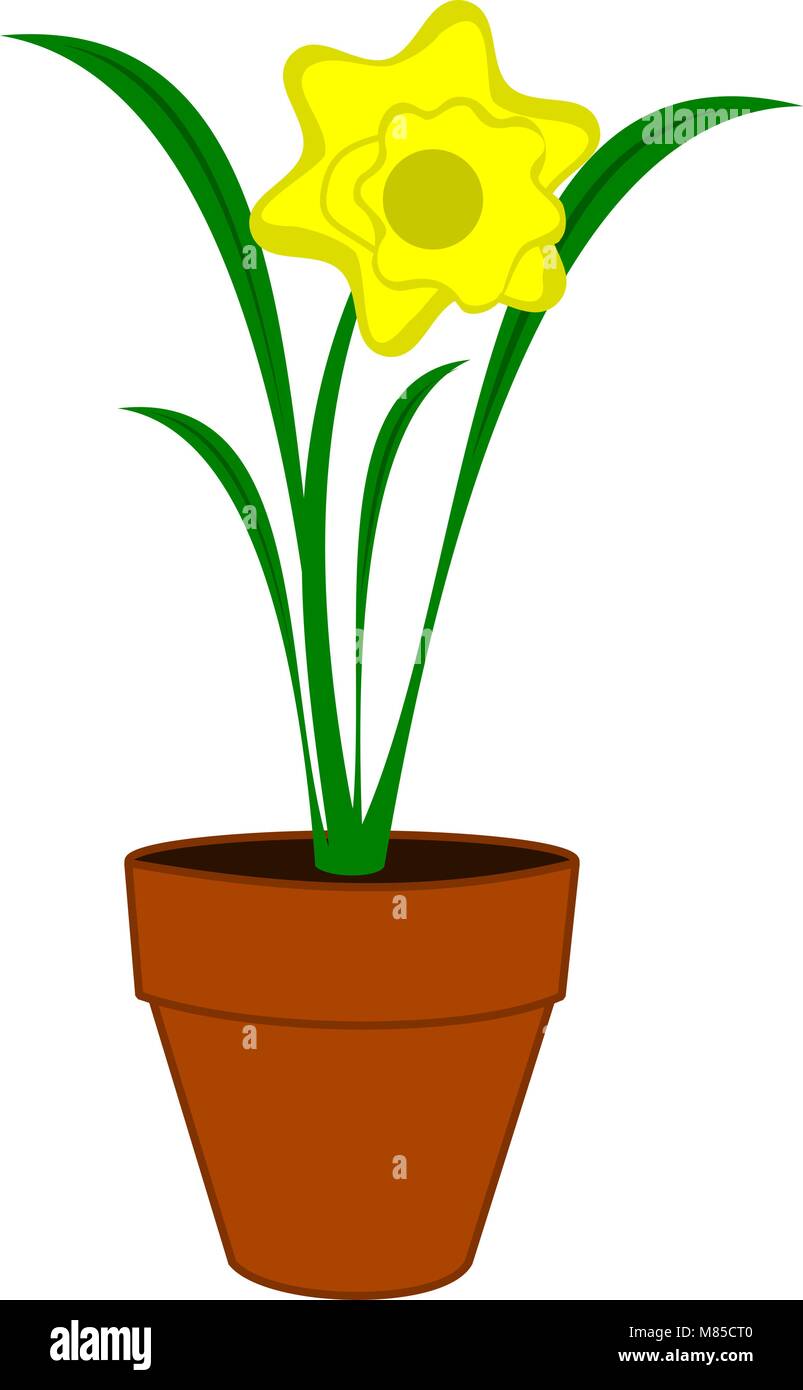 Yellow white spring narcissus Stock Vector Images - Alamy
