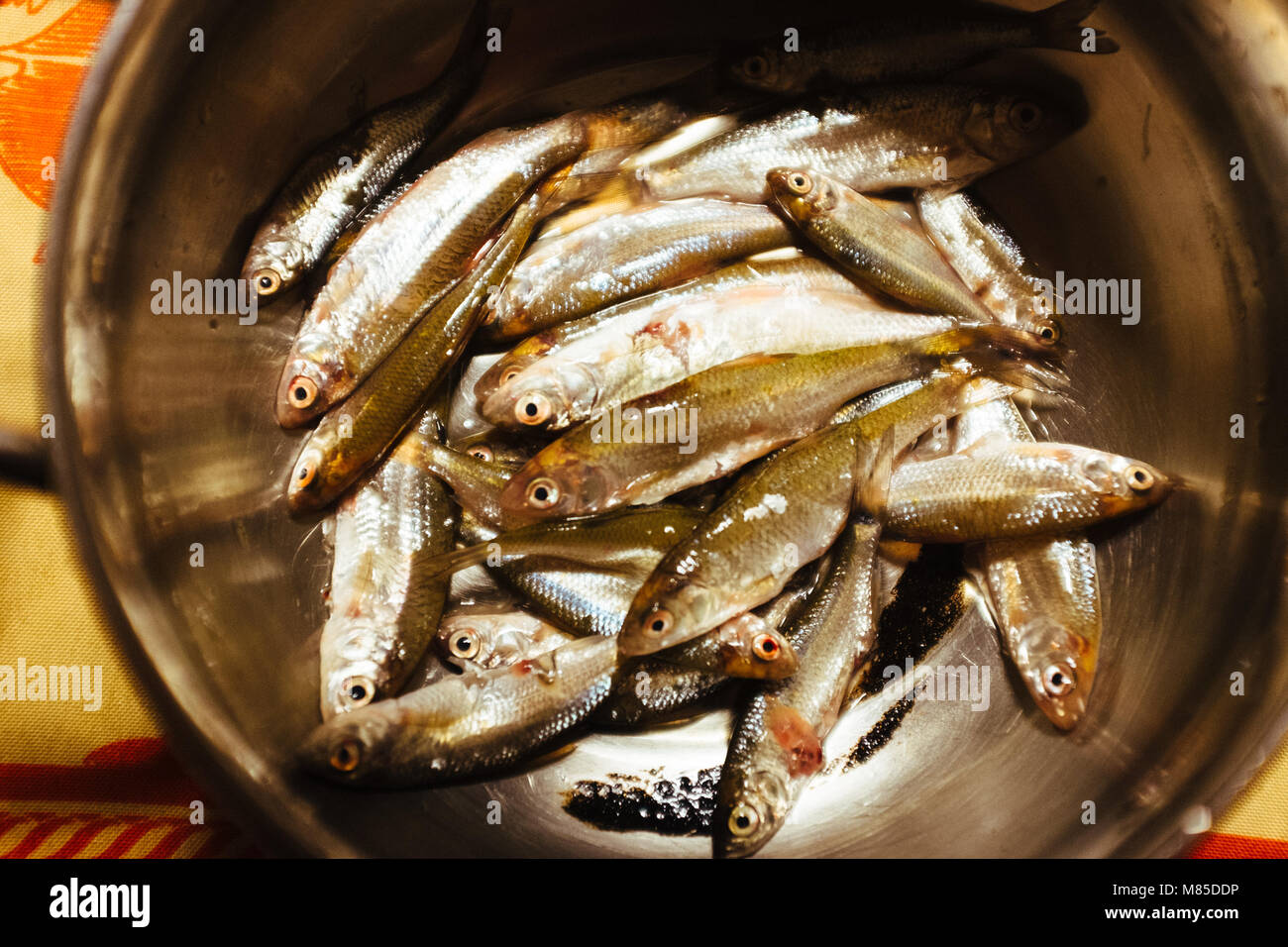 small raw fish in the pot, and ready to be cooked Stock Photo - Alamy