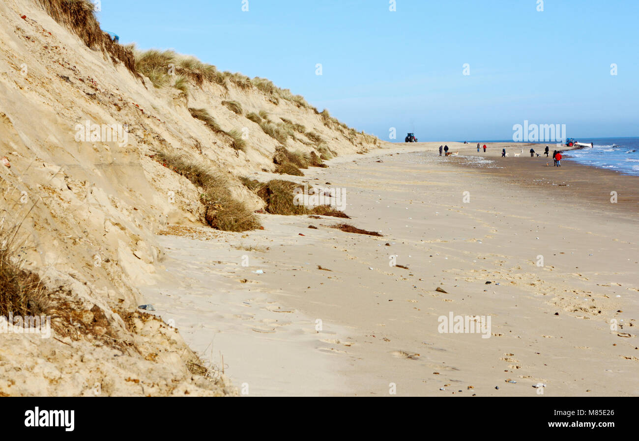 A view of eroded sand dunes on the north beach on the East Norfolk ...