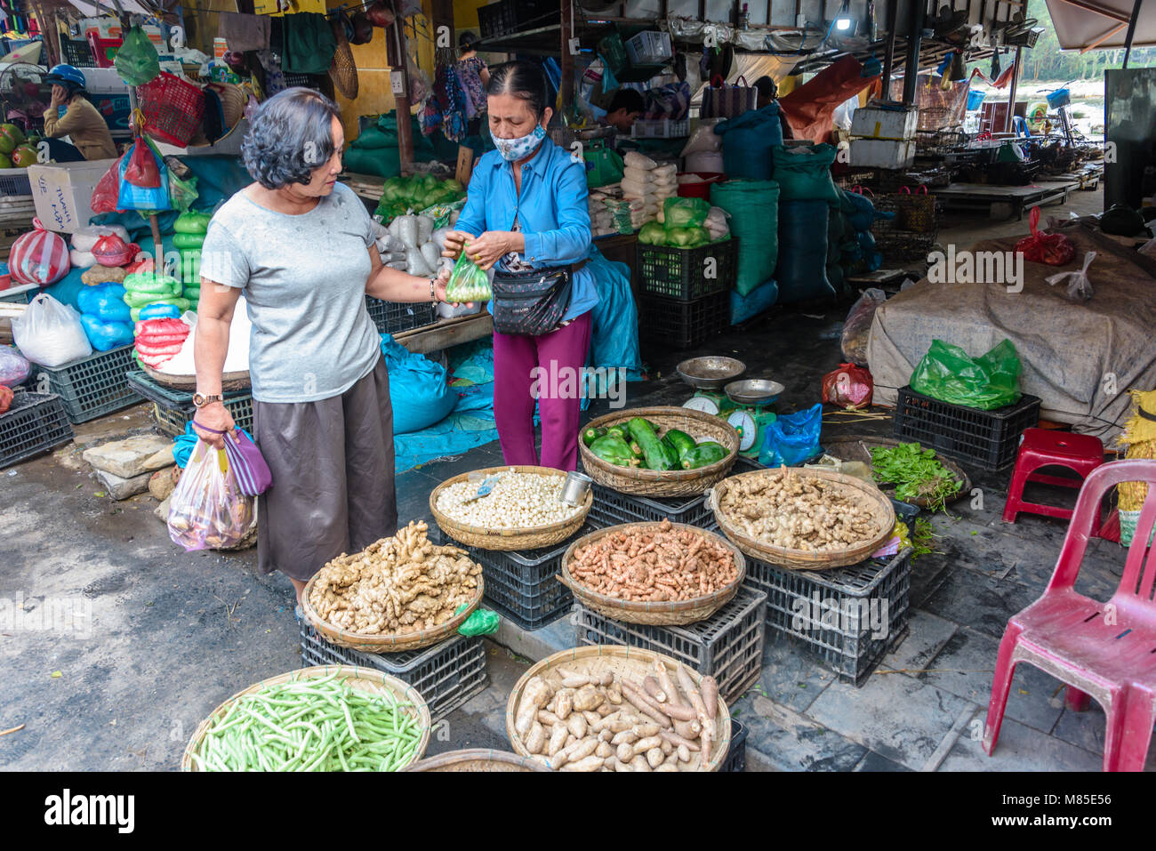 Root seller hi-res stock photography and images - Alamy