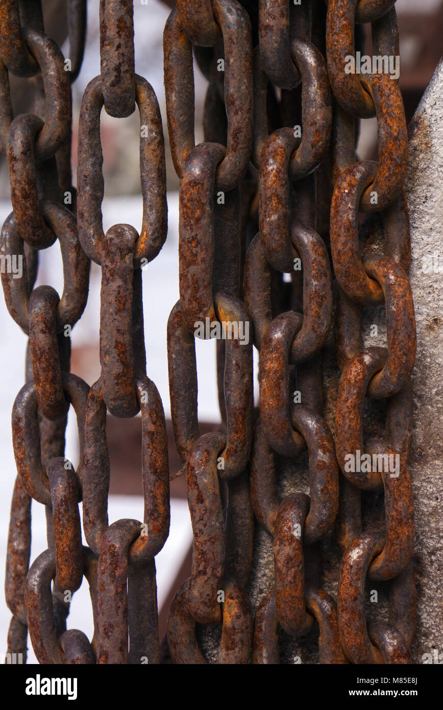 tree rusty chains, over a white background Stock Photo - Alamy