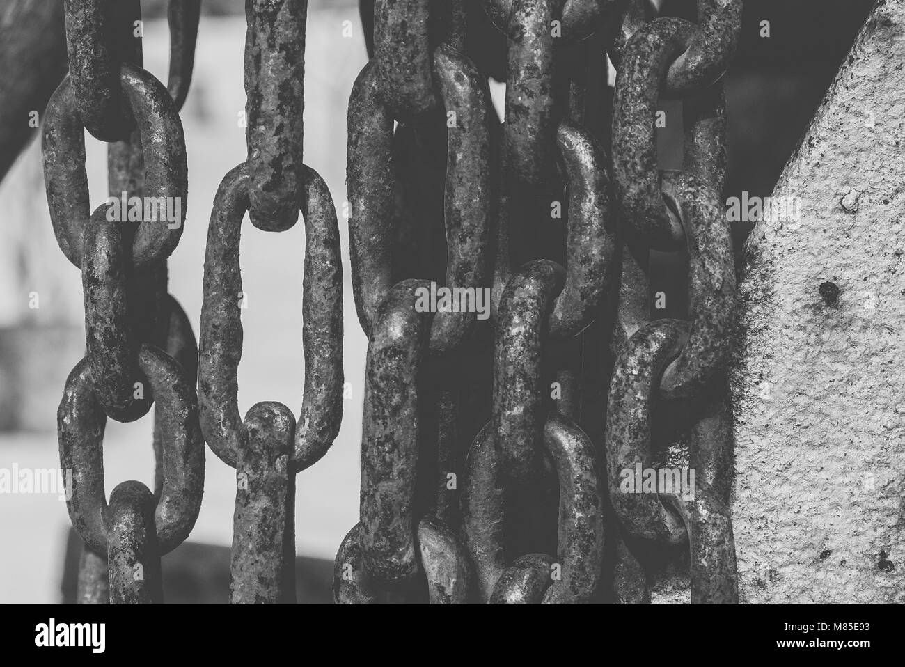 tree rusty chains, over a white background Stock Photo - Alamy