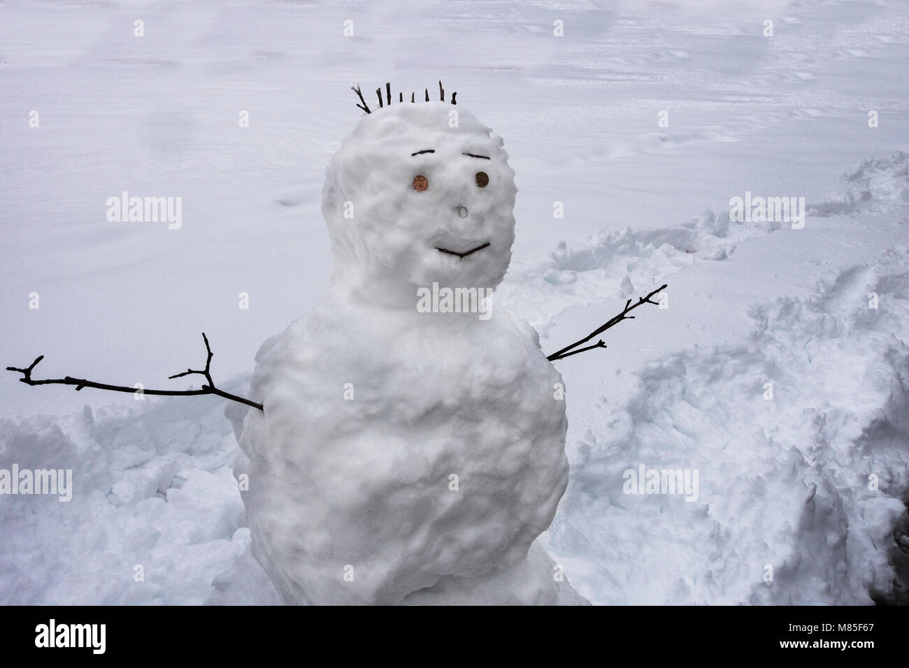 White snowman with sticks as arms pennies as eyes pop can top as nose ...