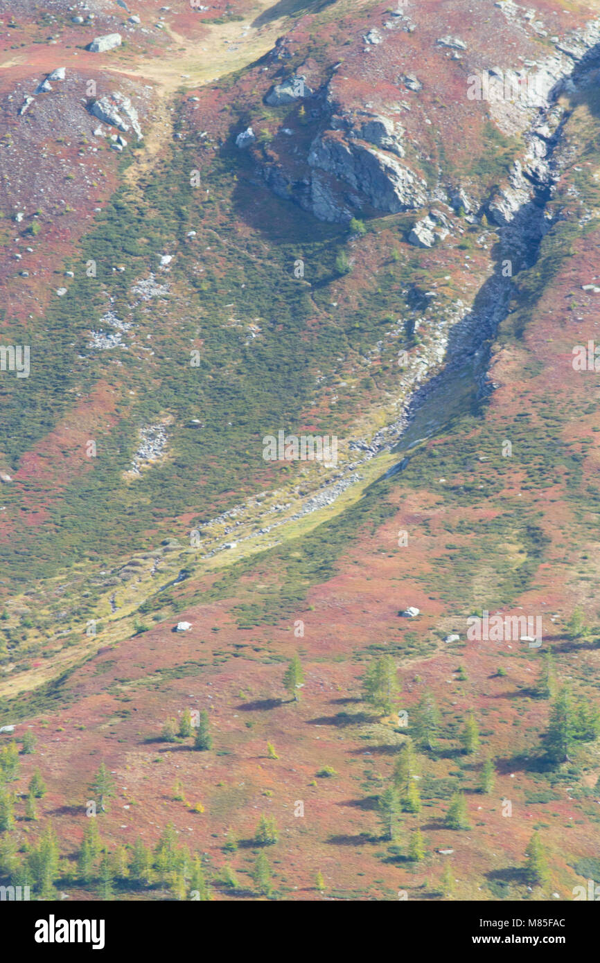 Boreal mountain hi-res stock photography and images - Alamy