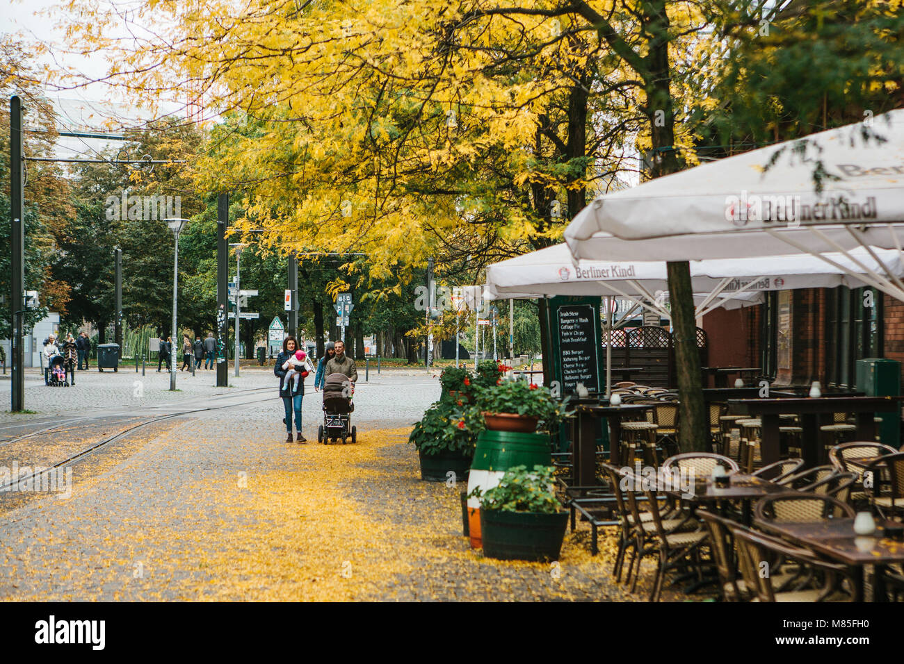 The autumn city scene. Street in Berlin. The yellow foliage lies on the ...
