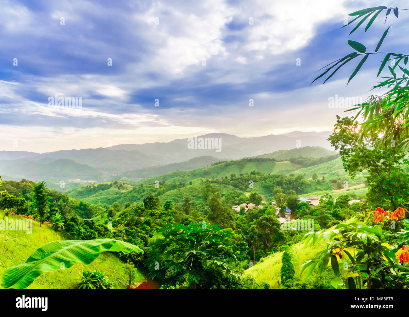 View on mountain and jungle landscape by Chiang Rai in Thailand Stock ...