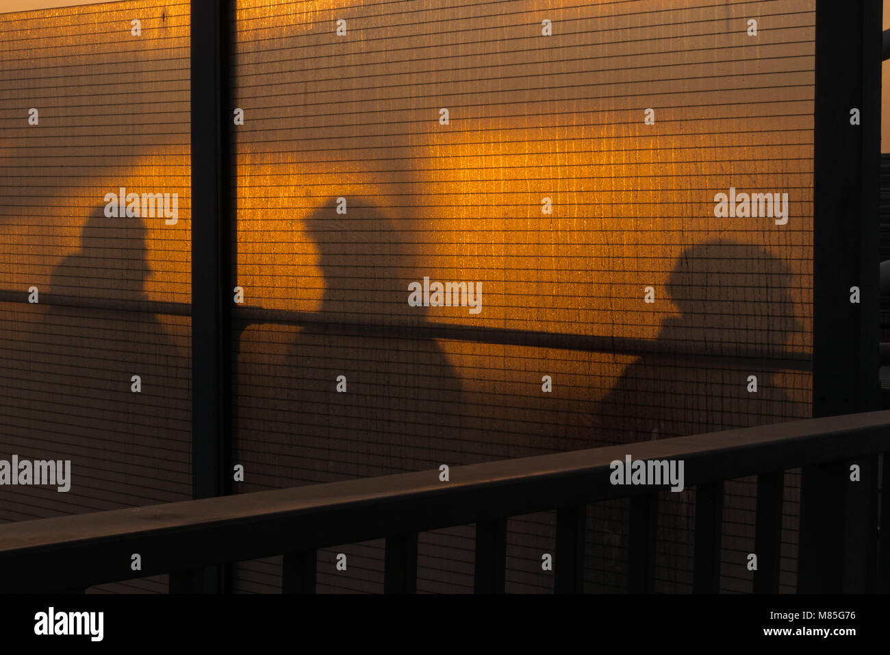 Watching in the shadows hi-res stock photography and images - Alamy