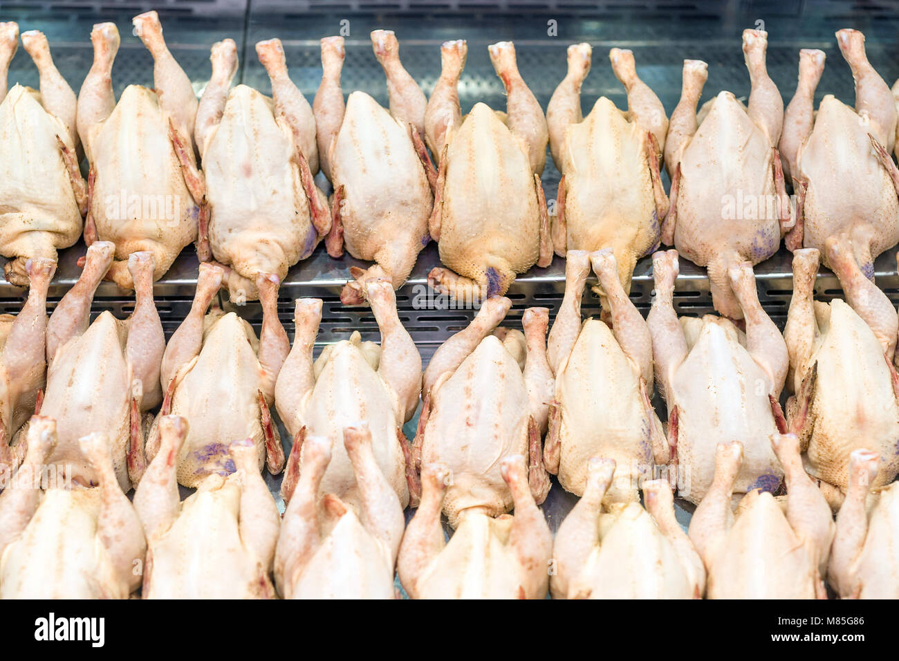 Rows of fresh raw chicken poultry at supermarket window-display ...