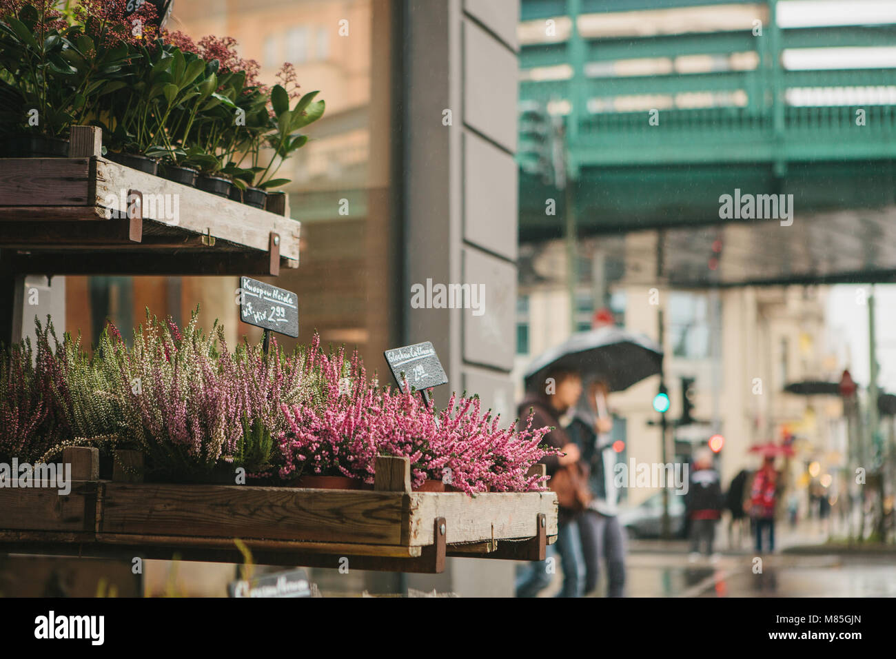 A small business for selling flowers in a German city. Beautiful pink ...