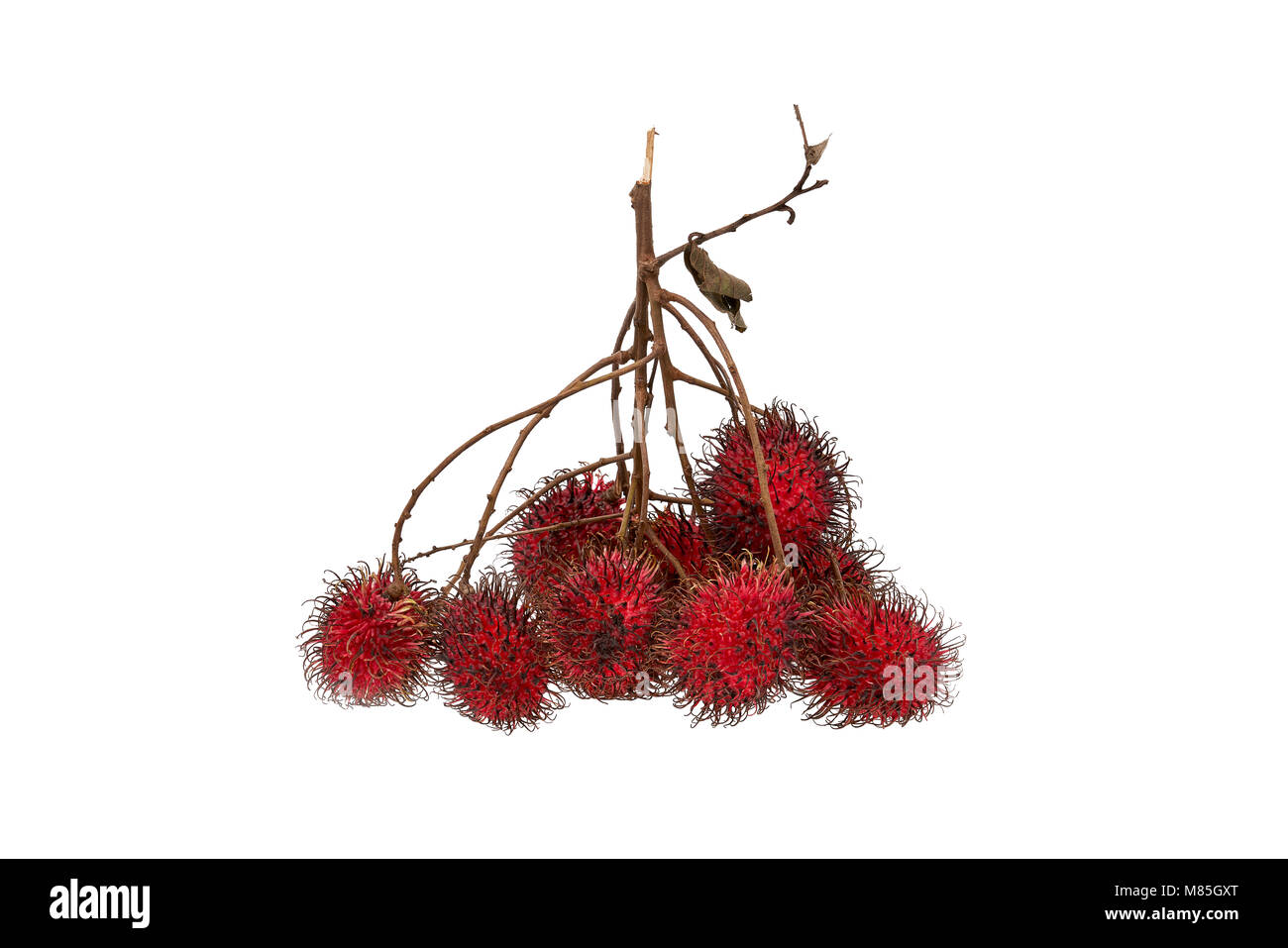 Fruit tree orchards Cut Out Stock Images & Pictures - Alamy