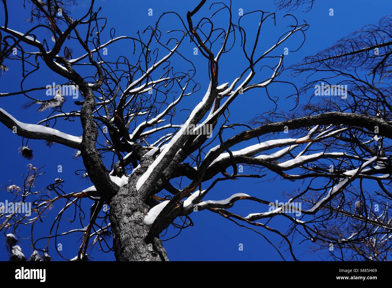 Cyndee brown hi-res stock photography and images - Alamy