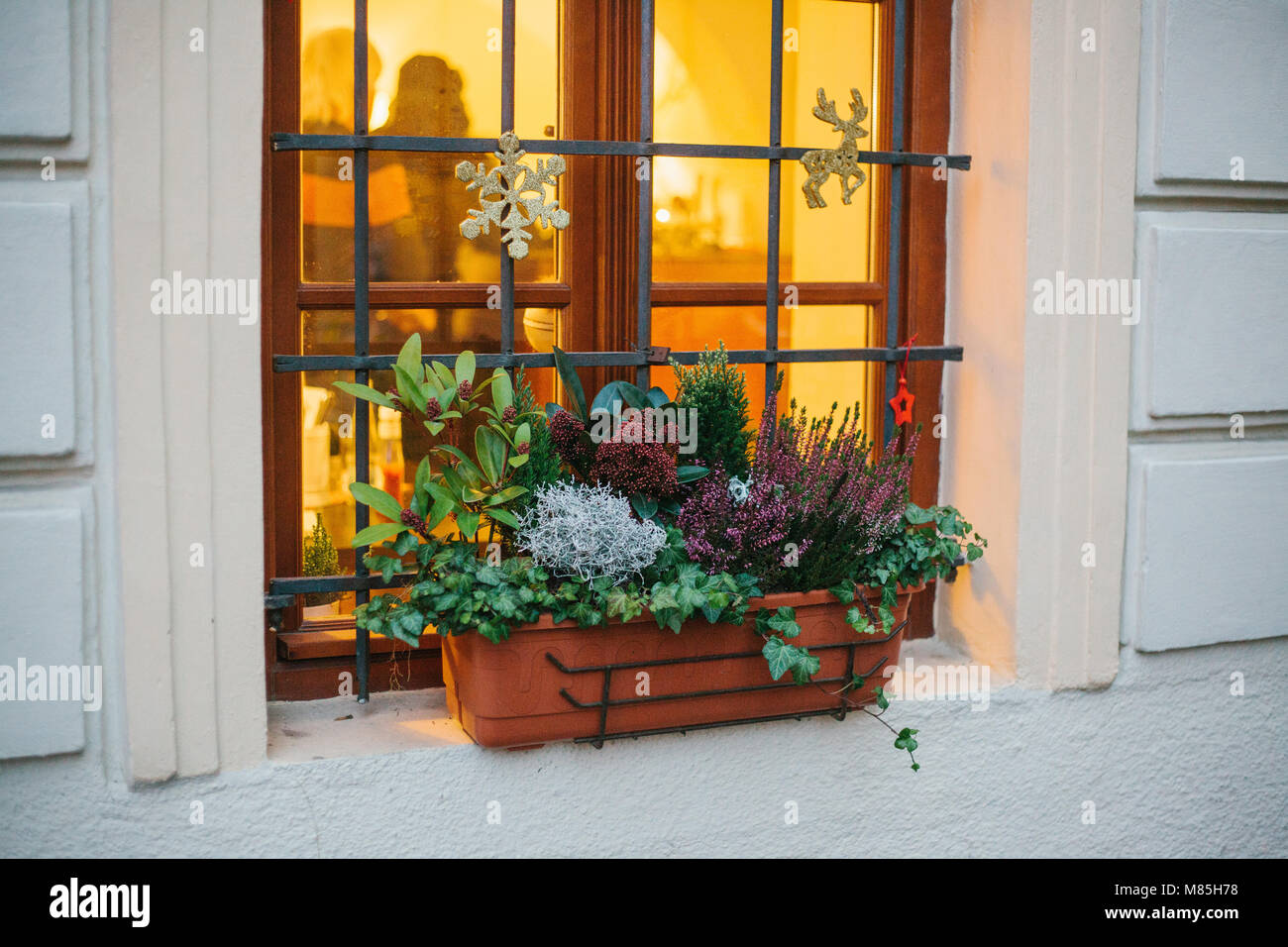 Pot of beautiful plants outside the house window, decorated with ...
