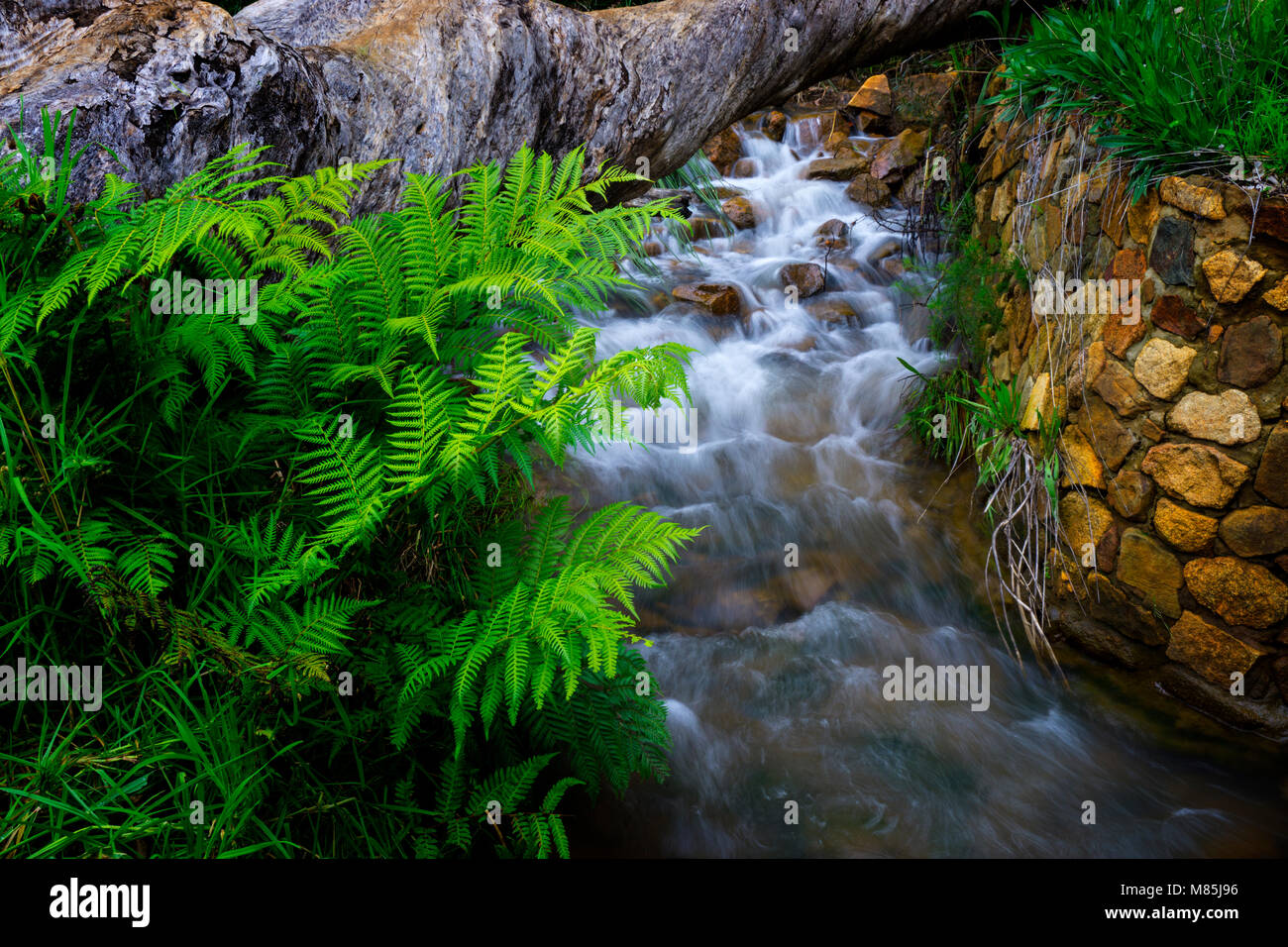Cascades at Lesmurdie Falls National Park, Darling Range, Perth Hills ...