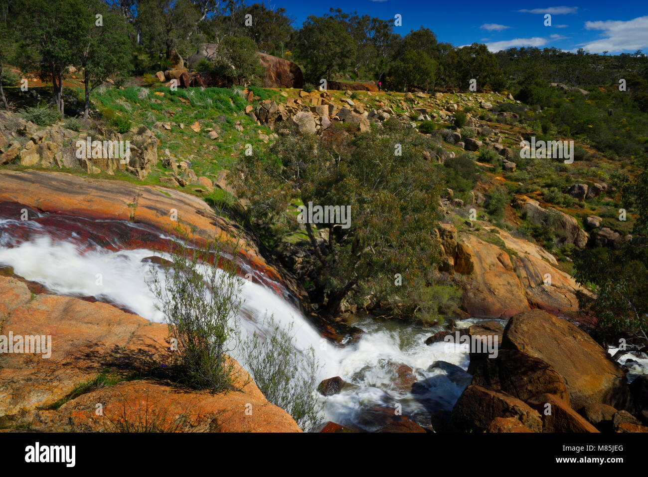 John Forrest National Park High Resolution Stock Photography and Images ...