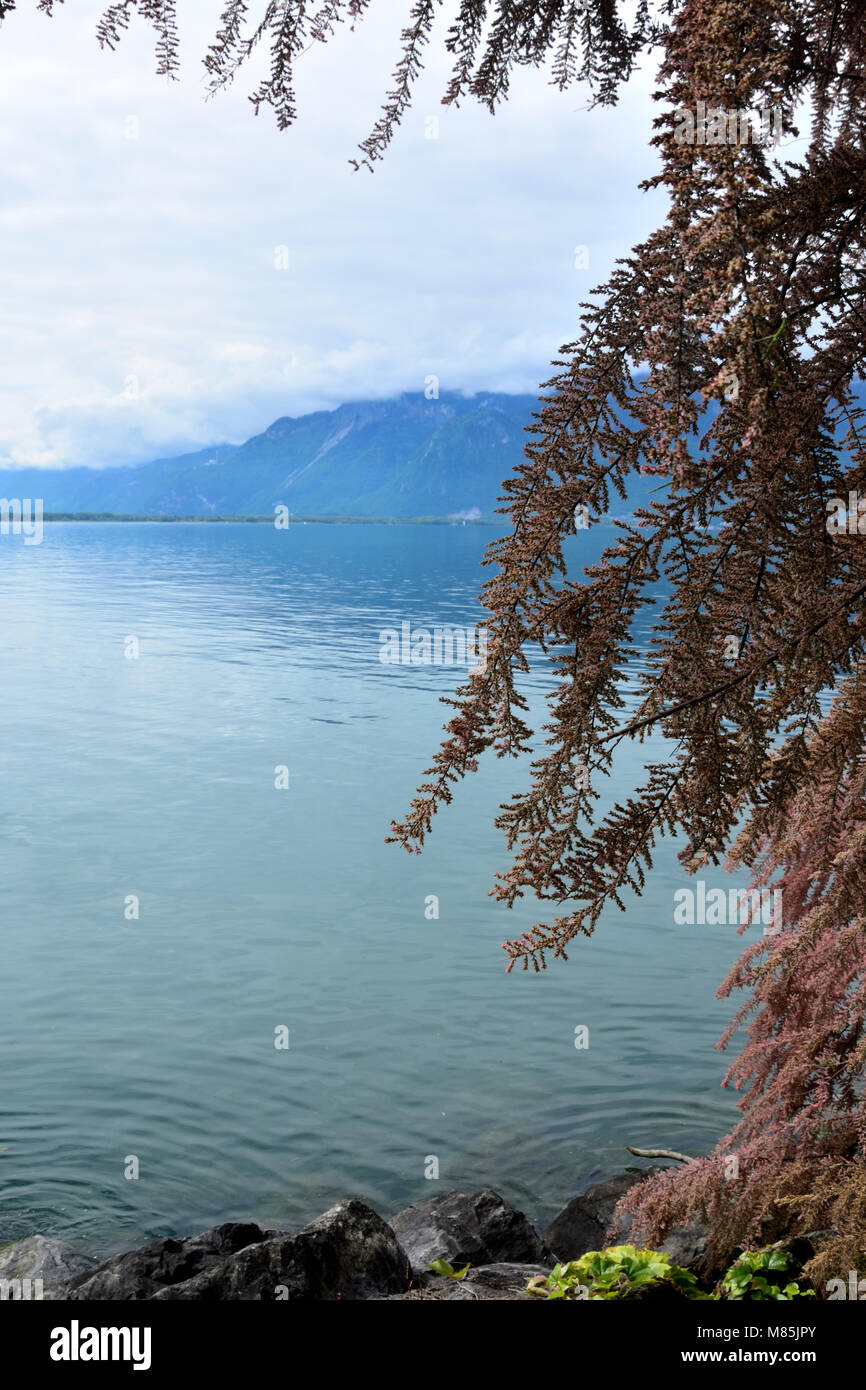 lake view of Lausanne Stock Photo - Alamy