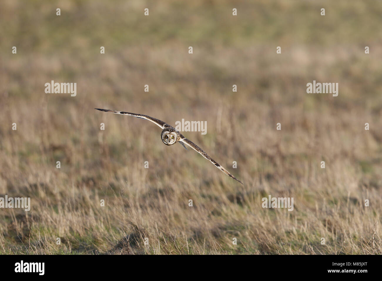 Flying edge hi-res stock photography and images - Alamy