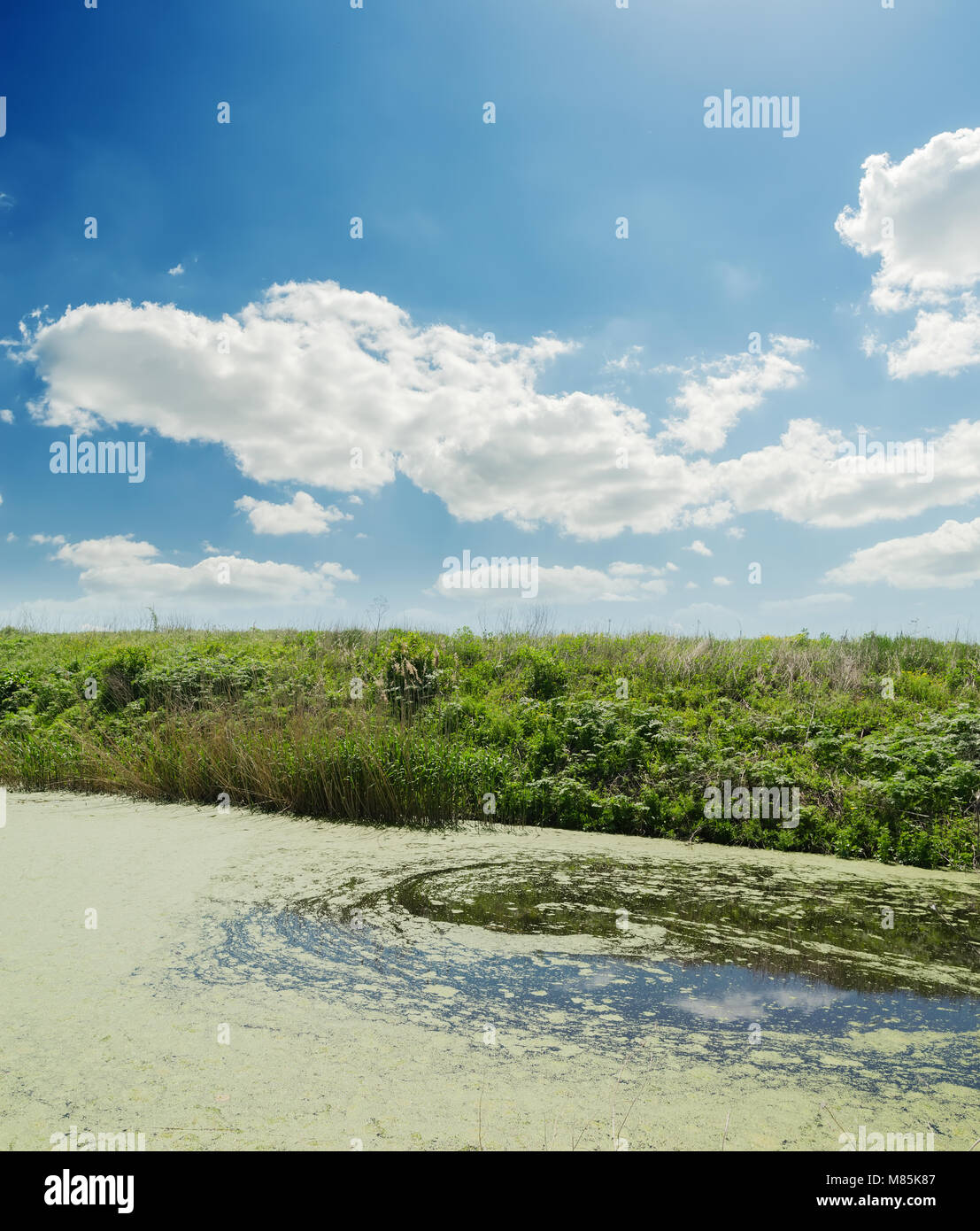 Swamp meadow white clouds hi-res stock photography and images - Alamy