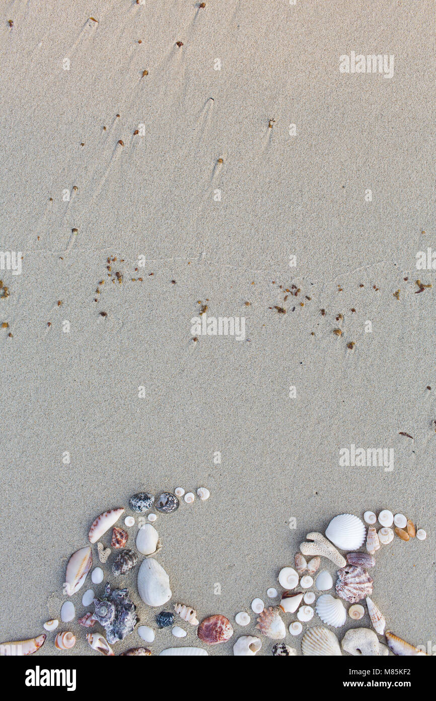 waves formed from shells on a beautiful beach in thailand, koh samui ...