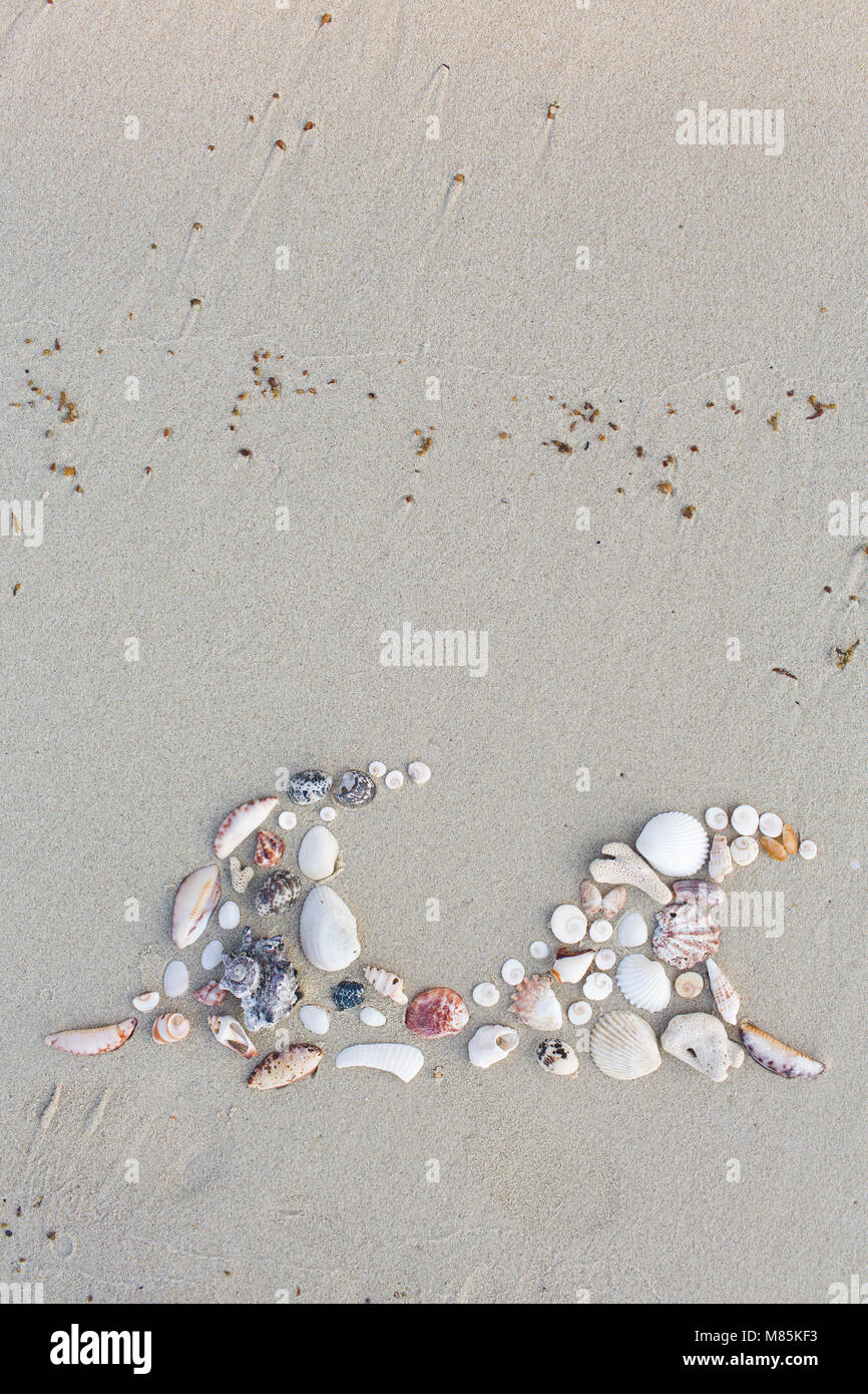 waves formed from shells on a beautiful beach in thailand, koh samui ...
