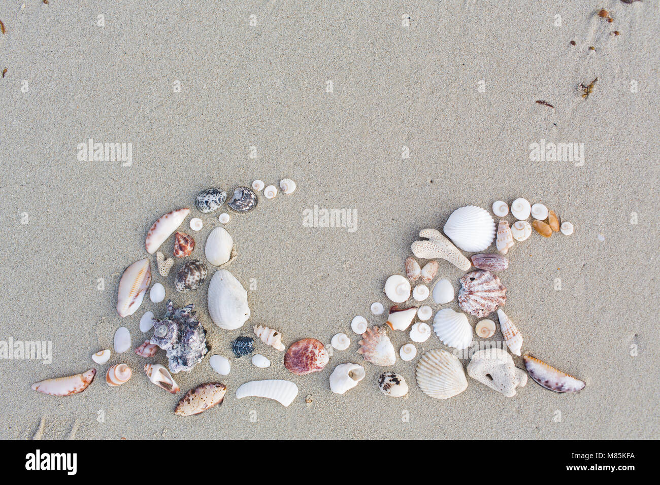 waves formed from shells on a beautiful beach in thailand, koh samui ...