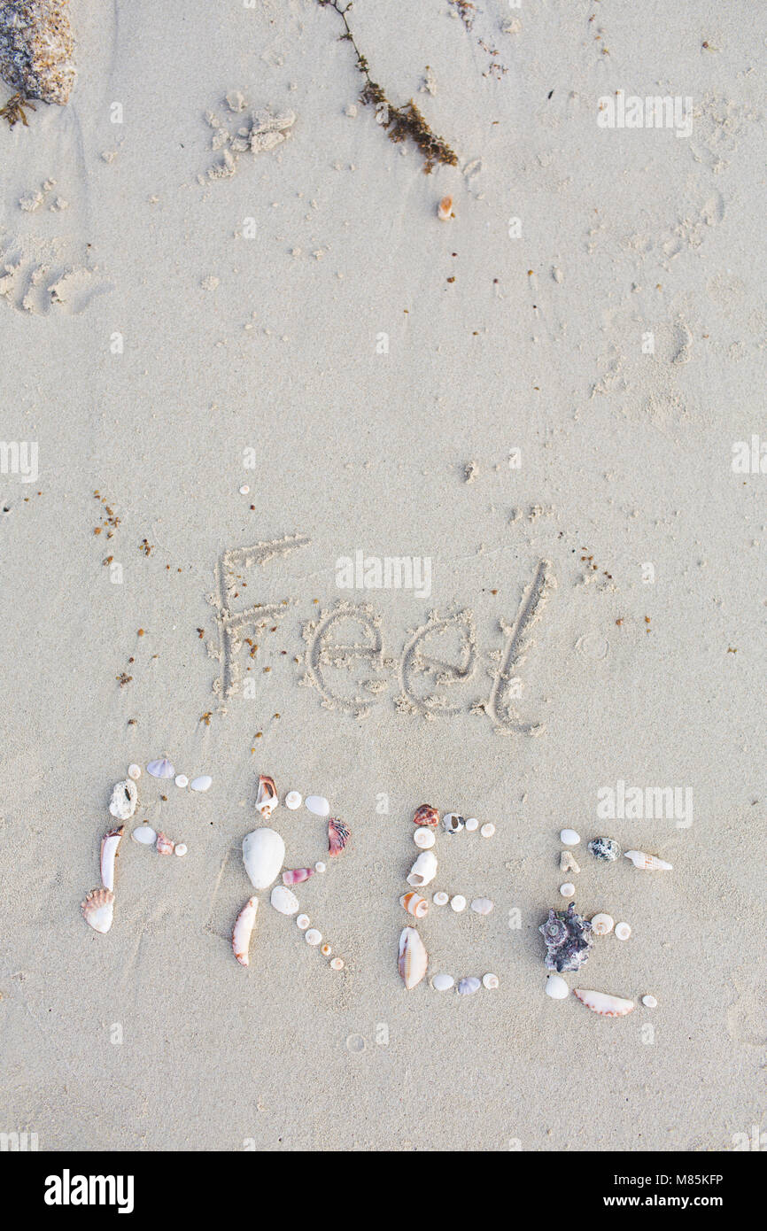 The word feel free, written with shells in the sand on a beach in ...
