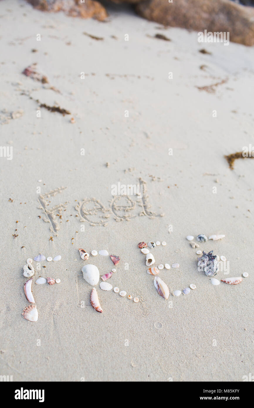 The word feel free, written with shells in the sand on a beach in ...