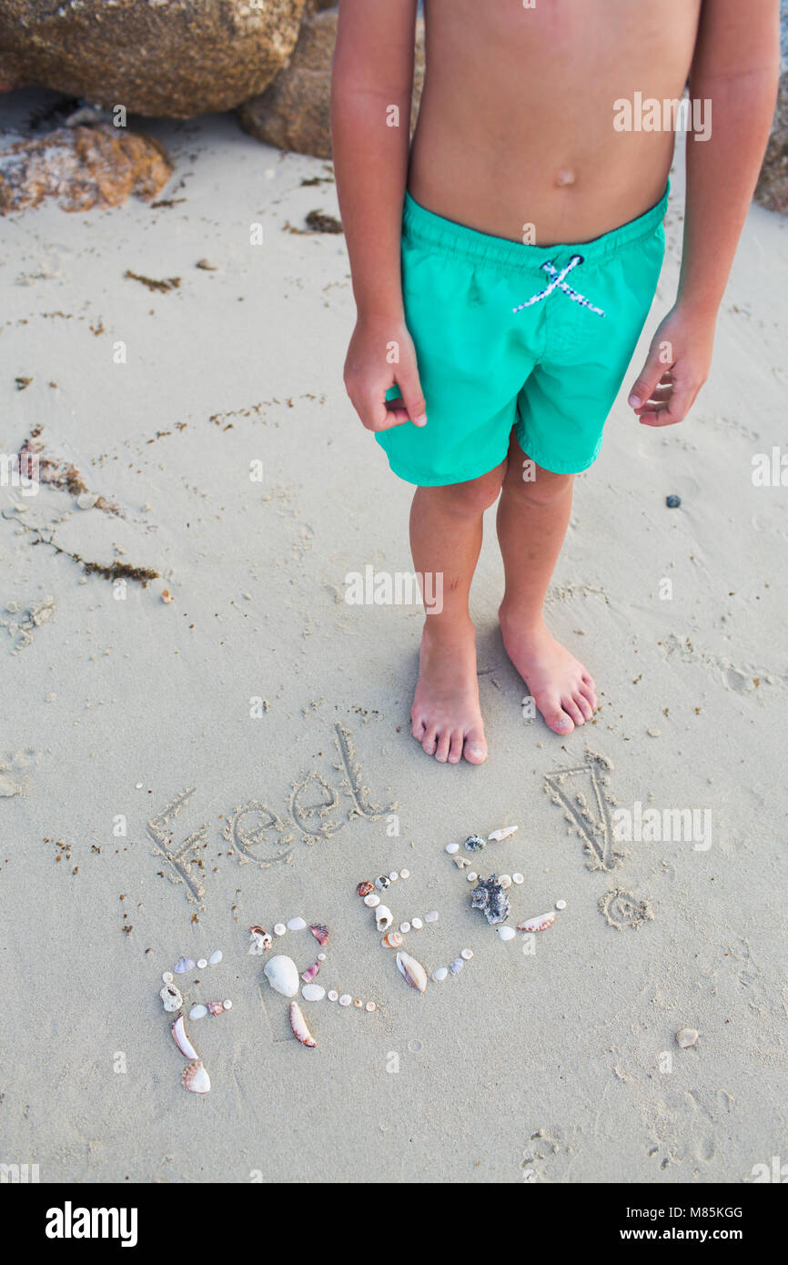 The word feel free, written with shells in the sand on a beach in ...