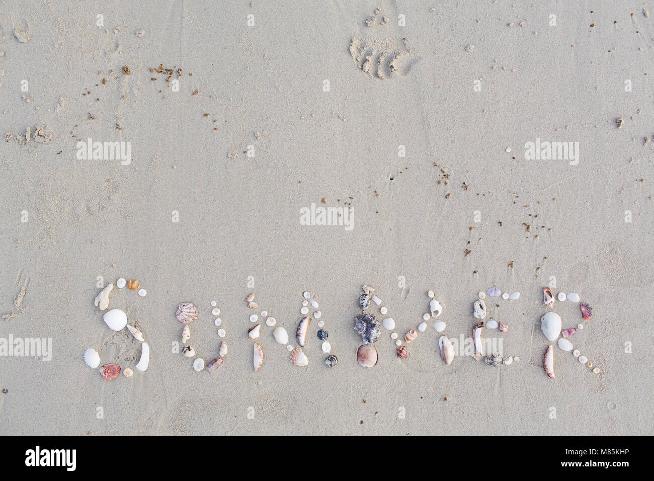 The word summer, written with shells in the sand on a beach in thailand ...