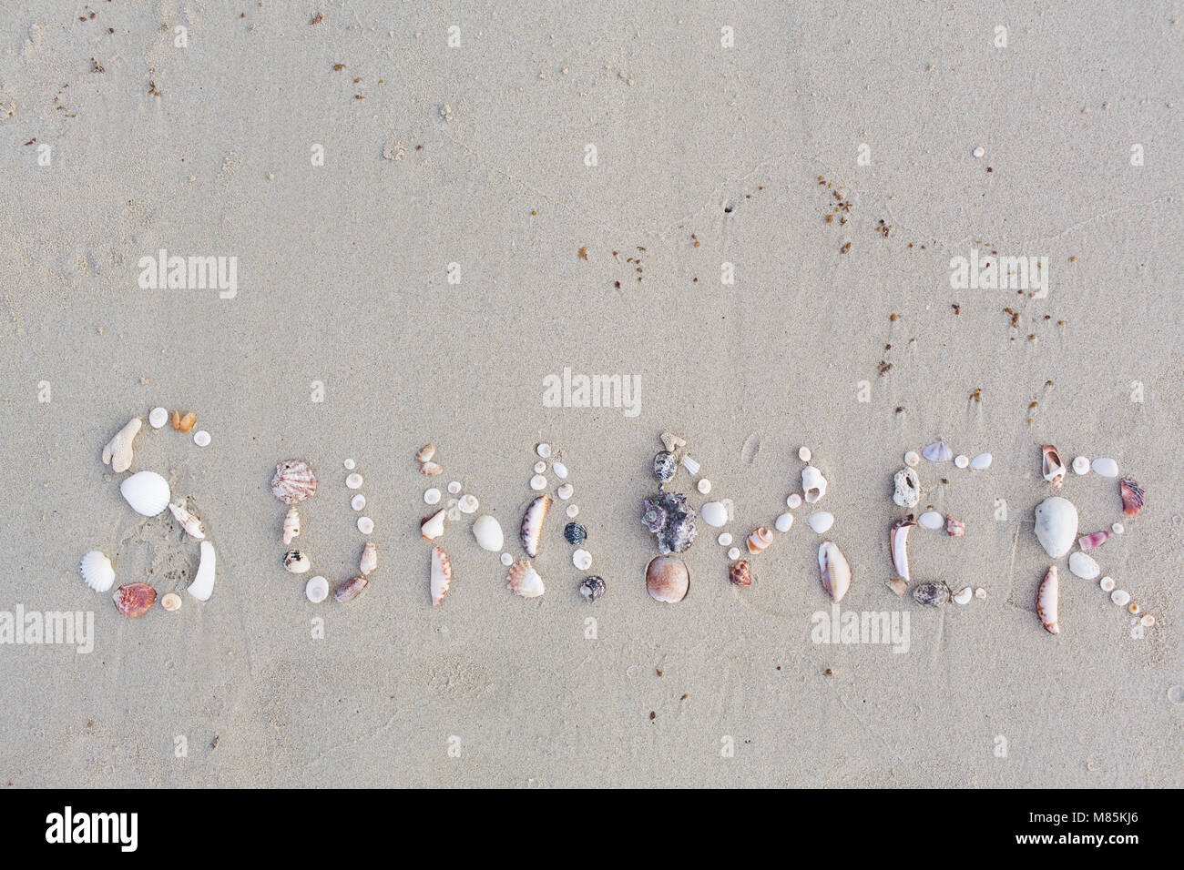 The word summer, written with shells in the sand on a beach in thailand ...