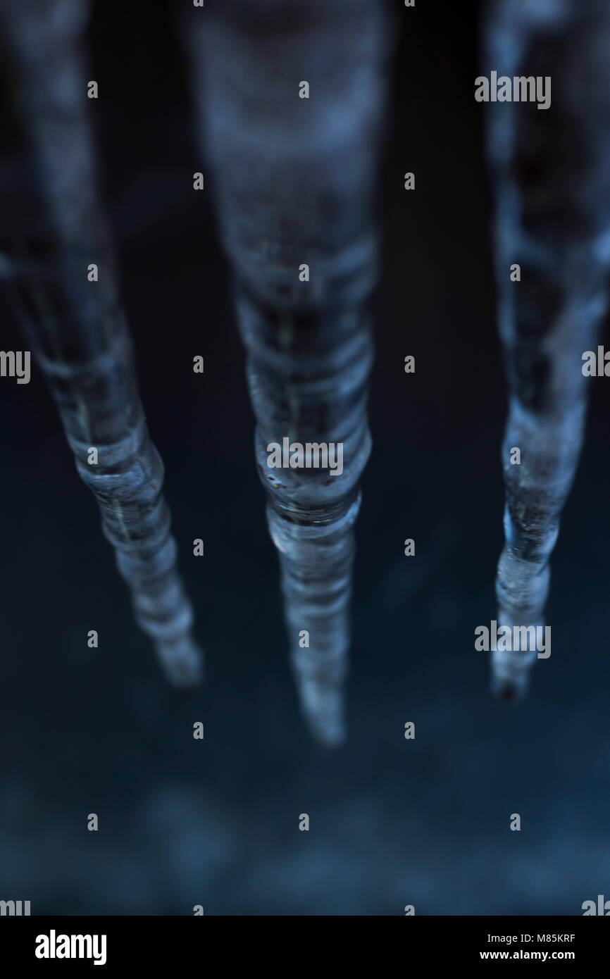 Icicles hanging down - isolated in a structured manner with dark ...