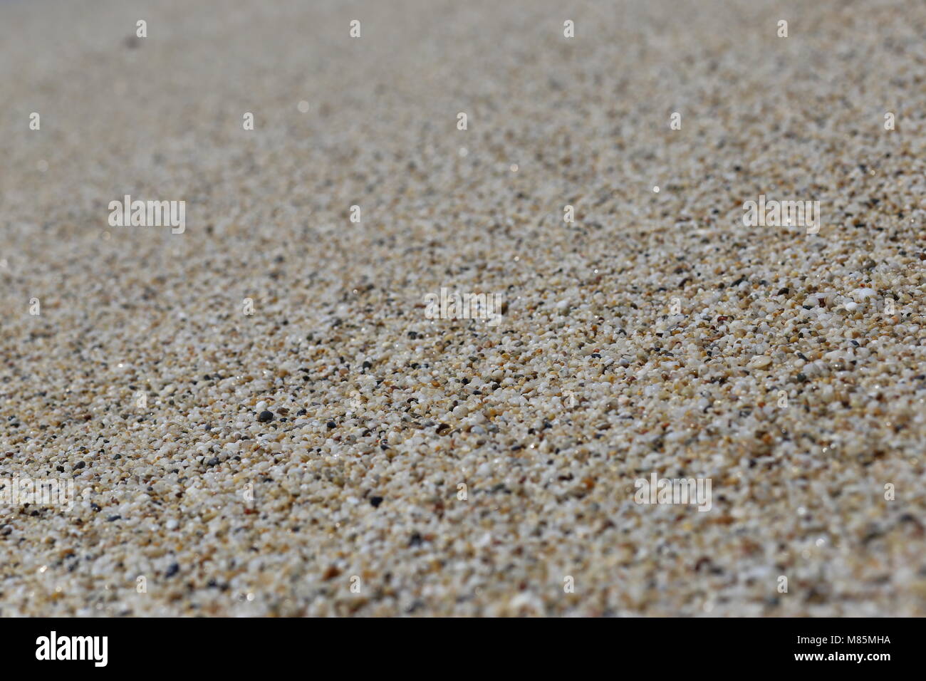 Littoral sand hi-res stock photography and images - Alamy