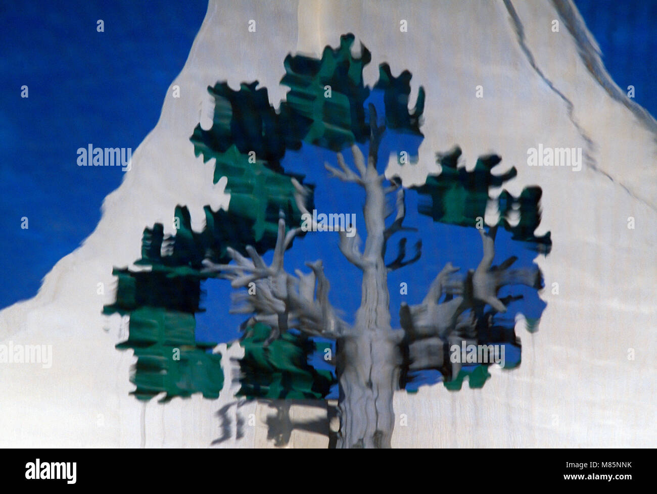 Water reflection of Tree sculpture Sharjah UAE Stock Photo - Alamy