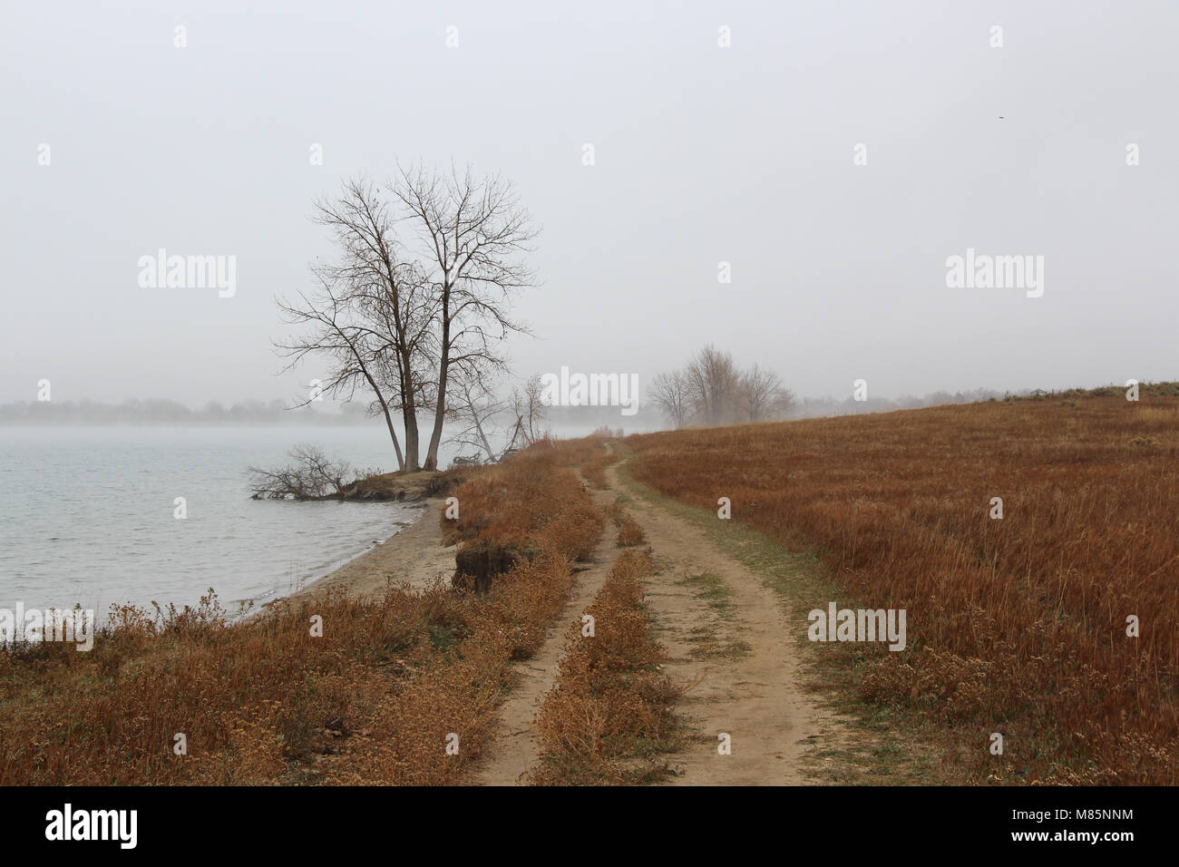 Lakeside path in fog Stock Photo - Alamy