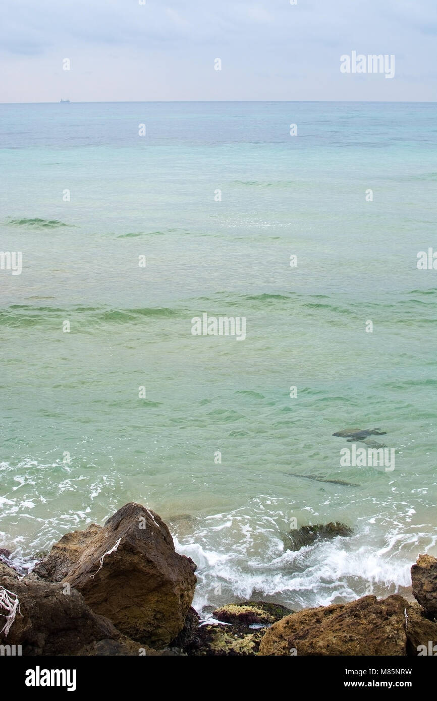 Green water rocks and seafoam on Mediterranean winter beach in Mallorca ...
